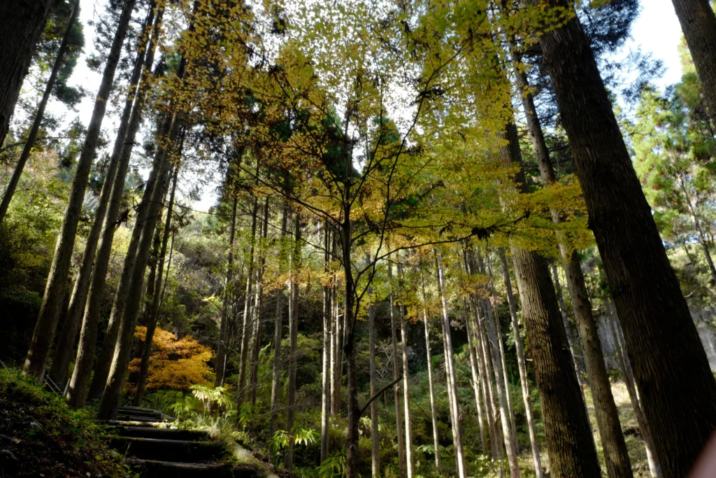 A Guide to Visiting Nabegataki Falls: The Waterfall You Can Walk Behind ...
