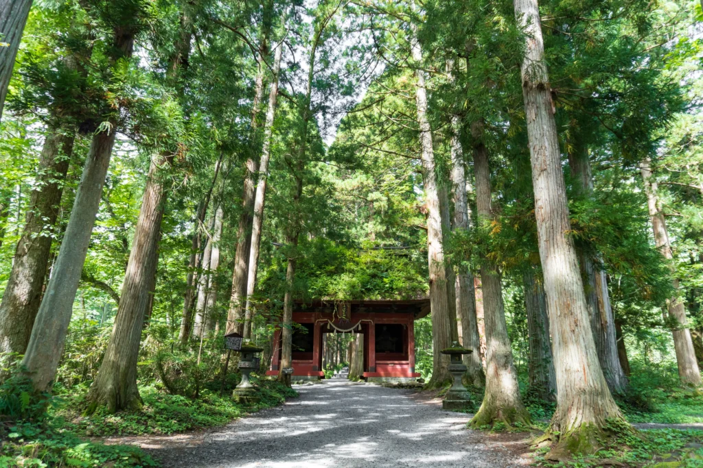 Togakushi Shrine Reopening 2026: 9 Dates & Access Guide