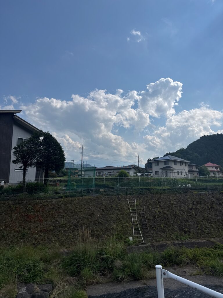 Is Mt. Fuji Visible Today? Live Forecast + 33-Year Odds 2026