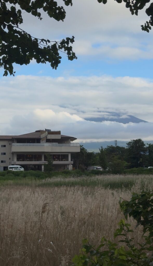 Is Mt. Fuji Visible Today? Live Forecast + 33-Year Odds 2026