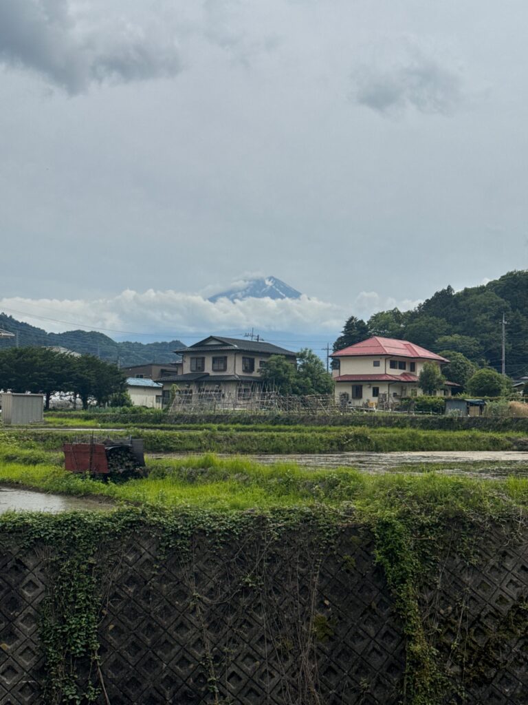 Is Mt. Fuji Visible Today? Live Forecast + 33-Year Odds 2026